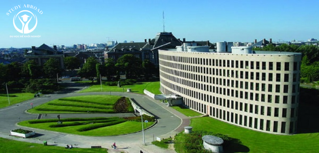 DU HỌC BỈ: ĐẠI HỌC VRIJE BRUSSEL - Study Abroad - Du Học Để Khởi Nghiệp